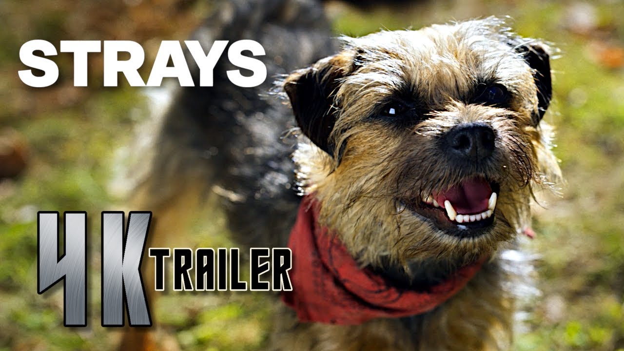 STRAYS (2023) - 4K Official Uncensored STRAYS (2023) - 4K Official Uncensored
